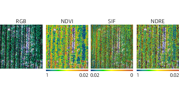 SIF Imaging Multispectral Camera for DJI M400 | Plant & Leaf-Level
