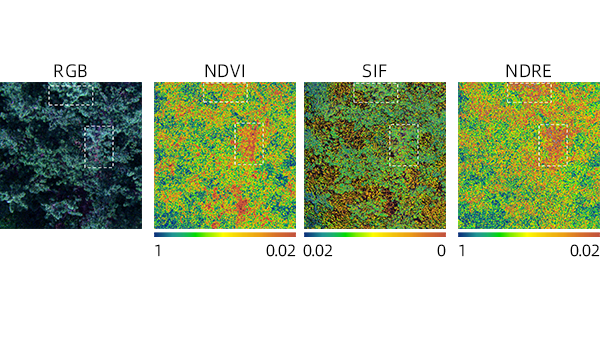SIF Imaging Multispectral Camera for DJI M400 | Plant & Leaf-Level